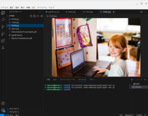 pypdfでPDFを分割・結合・テキスト抽出・画像抽出する方法 | nabesang工房