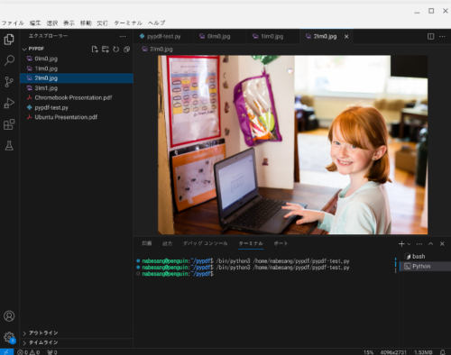 pypdfでPDFを分割・結合・テキスト抽出・画像抽出する方法 | nabesang工房